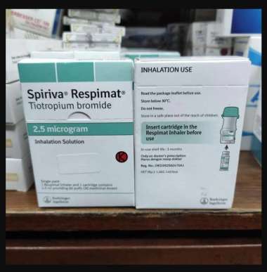 Obat Hisap Pada Asma Lengkap Harga Terbaru Agustus 2022 | Blibli