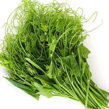 Jual Daun Labu Siam Manfaat Murah - Update Harga Grosir Hari Ini | Blibli