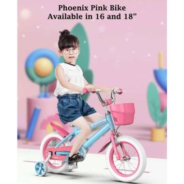 Sepeda Phoenix - Harga Terbaru Oktober 2021 | Blibli