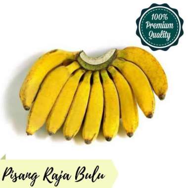 pisang raja bulu untuk bayi