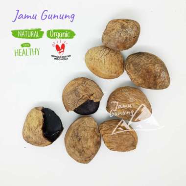 Jual Kluwek 500 Gr Termurah - Harga Grosir Terupdate Hari Ini | Blibli