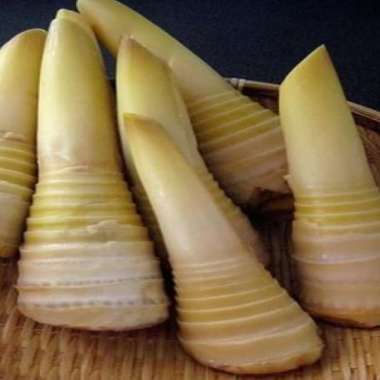 Jual Tunas Rebung Bambu Termurah - Harga Grosir Terupdate Hari Ini | Blibli