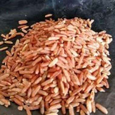 Jual Beras Merah Organic 5 Kg Termurah - Harga Grosir Terupdate Hari ...