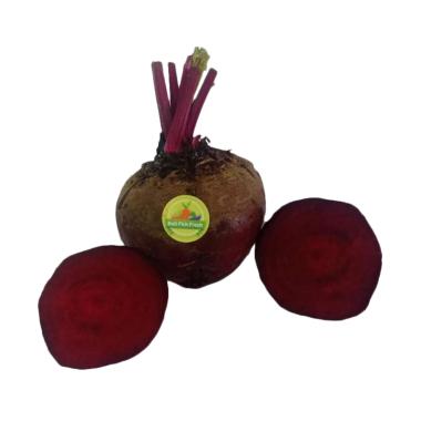 Jual Buah Beetroot Di Bali Terbaru - Harga Promo September 2023 | Blibli