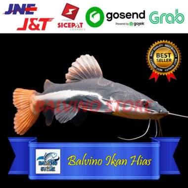 Jual Rtc Fish Termurah - Harga Grosir Terupdate Hari Ini | Blibli