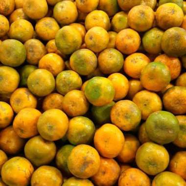 Jual Jeruk Kita 1 Kg Original, Murah & Diskon Februari 2023 | Blibli