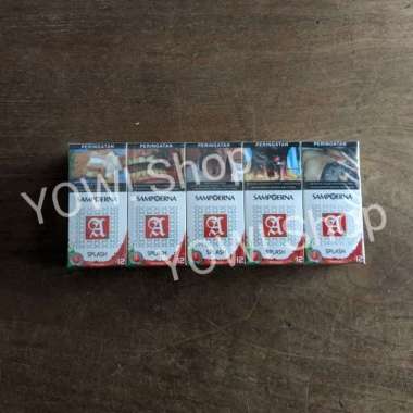 Jual Rokok Sampoerna Mild 1 Pack Termurah - Harga Grosir Terupdate Hari ...