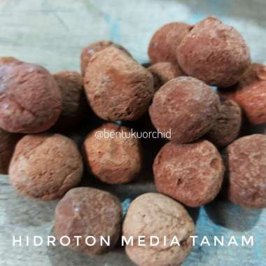 Jual Hidroton 1 Kg Original Murah - Harga Diskon Juli 2023 | Blibli.com