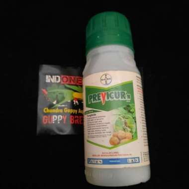Jual Fungisida Previcur N Original Murah - Harga Diskon Agustus 2023 ...