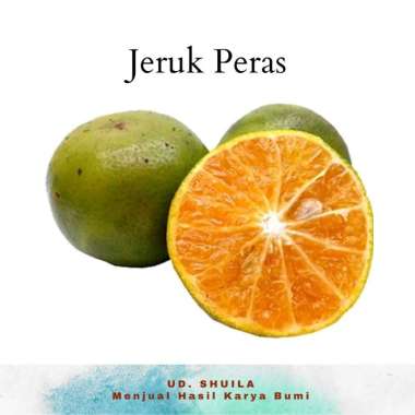 Jeruk Peras 1 Kg - Harga Termurah Agustus 2024 | Blibli