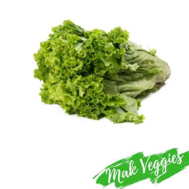 Jual Lettuce Curly Termurah - Harga Grosir Terupdate Hari Ini | Blibli
