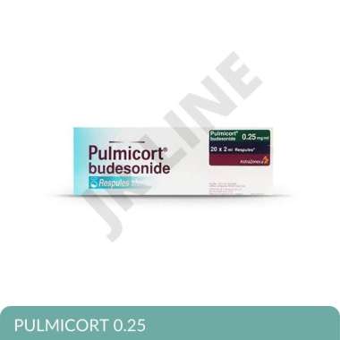 Pulmicort Nebulizer Lengkap Harga Terbaru Maret 2023 | Blibli