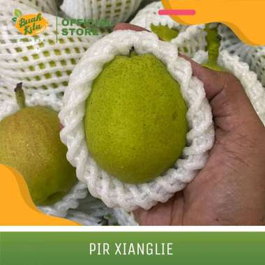 Jual Pir Xianglie Termurah - Harga Grosir Terupdate Hari Ini | Blibli