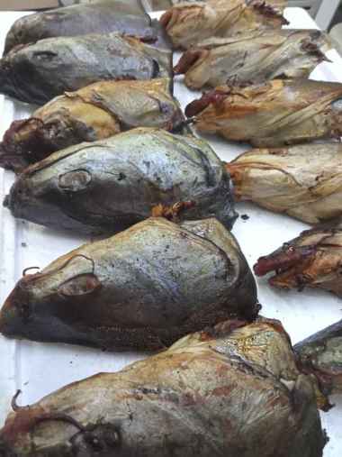 Jual Ikan Manyung Segar Termurah - Harga Grosir Terupdate Hari Ini | Blibli