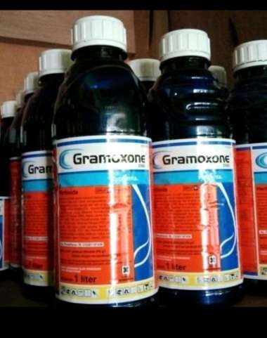 Jual Gramaxone 500 Ml Original Murah - Harga Diskon Juli 2023 | Blibli.com