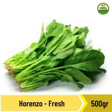 Harga Horenso Terbaru Januari 2024 |BigGo Indonesia