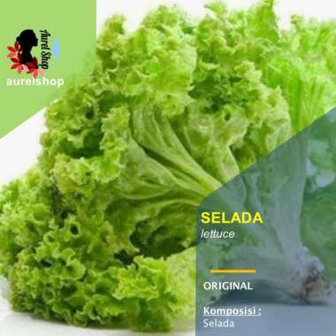 Jual Daun Selada 1 Kg Terbaru - Harga Promo Agustus 2023 | Blibli