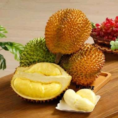 Jual Durian Montong Fresh Termurah - Harga Grosir Terupdate Hari Ini ...