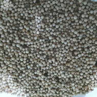 Jual Lada Jawa Termurah - Harga Grosir Terupdate Hari Ini | Blibli