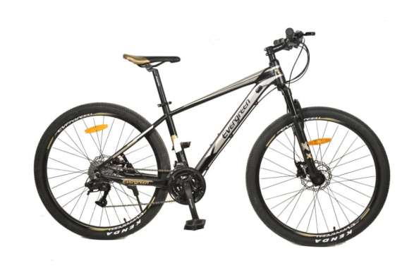 Sepeda Gunung Evergreen - Harga Terbaru Juli 2024 | Blibli