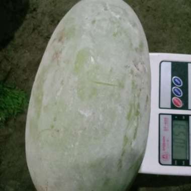 Labu Bligo Kundur Lengkap Harga Terbaru Desember 2022 | Blibli