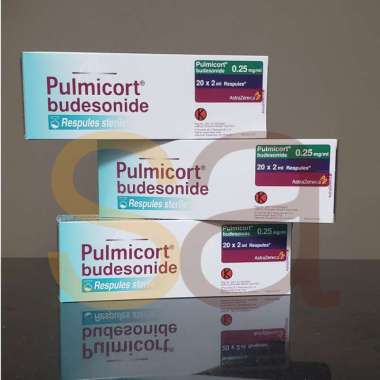 Pulmicort Nebulizer Lengkap Harga Terbaru Maret 2023 | Blibli