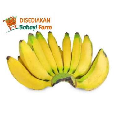 Pisang Raja 1 Sisir Gratis Ongkir 🔥 Harga Murah Juni 2026