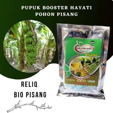 Jual Teh Daun Pisang Terbaik Januari 2022 - Harga Murah & Gratis Ongkir - Blibli