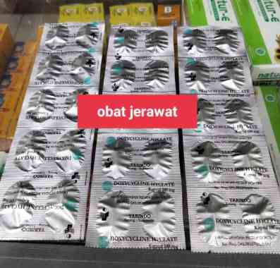 Doxycycline 100 Mg Lengkap Harga Terbaru Mei 2024 | Blibli