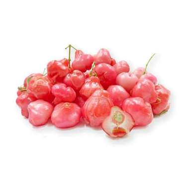 Jambu Air Per Kg Gratis Ongkir 🏷️ Harga Murah Juni 2026