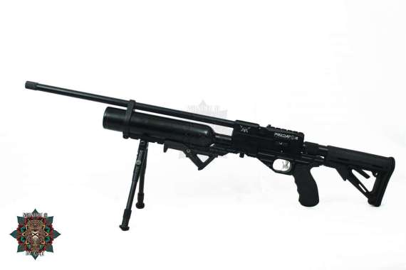 Jual Predator Camber Original Terbaru - Harga Promo Murah Maret 2023 ...