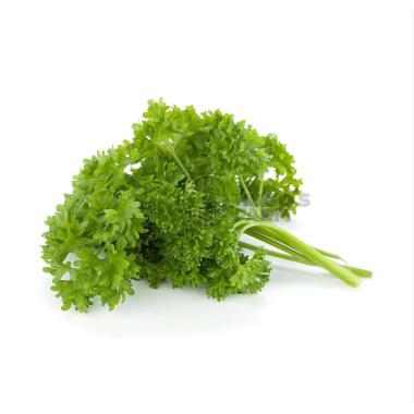 Jual Daun Parsley Online Baru - Harga Termurah Juli 2020 | Blibli.com