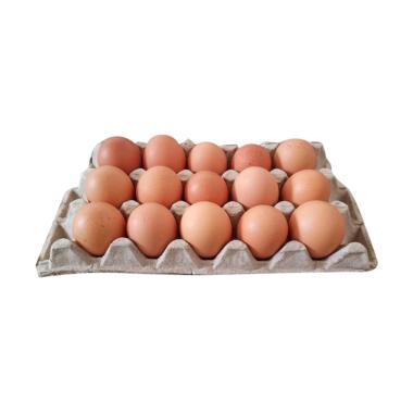 Jual Telur Ayam Kampung Curah Segar ( 15 Butir ) di Seller SAJIRA FARM ...