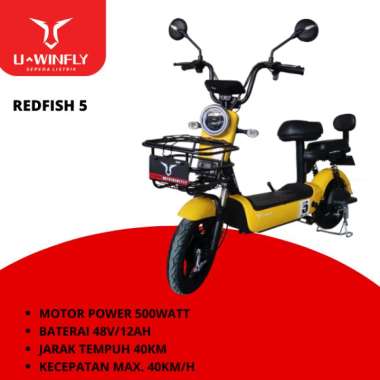 Jual Sepeda Listrik Roda Tiga Uwinfly Maleo New Garansi Resmi di Seller ...