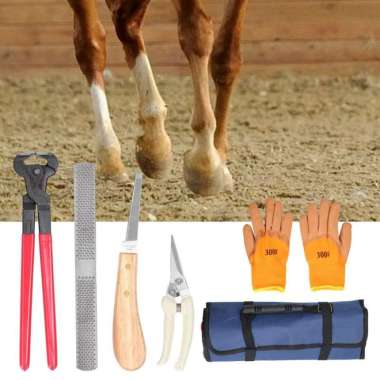 Jual Sepatu Tapal Kuda Terbaru Dengan Harga Termurah Di 2022 | Blibli