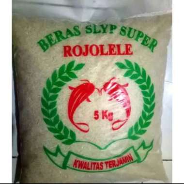 Jual Beras Rojo Lele Solo Murah - Update Harga Grosir Hari Ini | Blibli