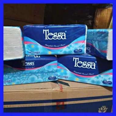 Jual Tissu Tessa 1 Karton 250 Sheets Termurah - Harga Grosir Terupdate ...