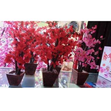 Jual Pohon Imlek Meihua Sincia Angpao Sakura Xincia Original Murah ...