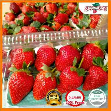 Harga Stroberi Terbaru Februari 2022 | BigGo Indonesia