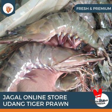 Jual Udang Tiger1 Kg Terbaru - Harga Promo November 2023 | Blibli
