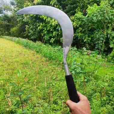 Jual Sabit Rumput Besar Original Murah - Harga Diskon Desember 2022 ...