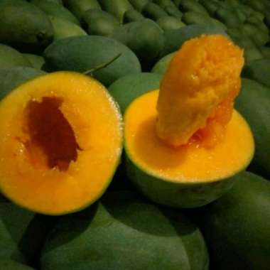 Jual Harga Mangga Muda Termurah - Harga Grosir Terupdate Hari Ini | Blibli