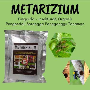 Jual Metarhizium Anisopliae Terbaik Januari 2022 - Harga Murah & Gratis ...