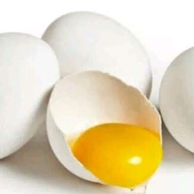 Jual 1 Butir Telur Original Murah - Harga Diskon Januari 2023 | Blibli.com