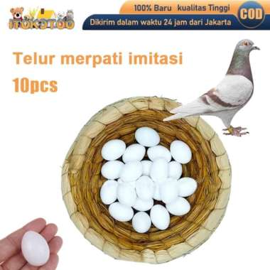 Jual Telur Merpati Palsu Original Murah - Harga Diskon Juli 2023 ...