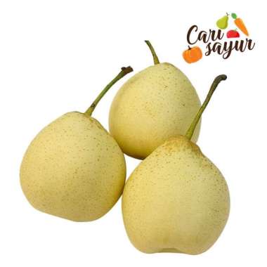 Jual Pear Yalie 1 Kg Murah - Update Harga Grosir Hari Ini | Blibli