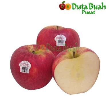 Jual Buah Apel 1 Kg Termurah - Harga Grosir Terupdate Hari Ini | Blibli
