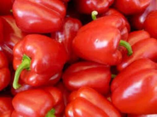 Daftar Harga Paprika Merah 2019 - Murah | Blibli.com