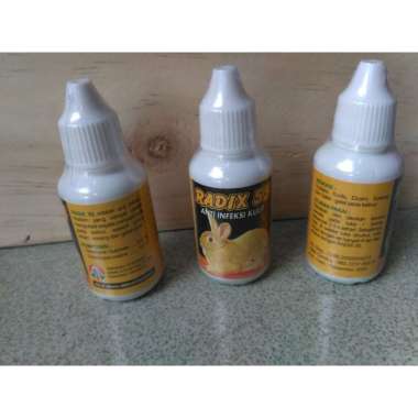 Harga Radixku Terbaru Oktober 2021 | BigGo Indonesia