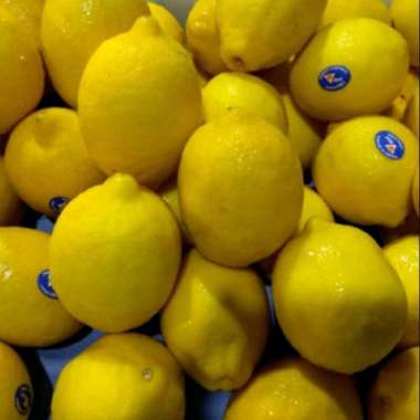 Jual Lemon Segar 1 Kg Termurah - Harga Grosir Terupdate Hari Ini | Blibli